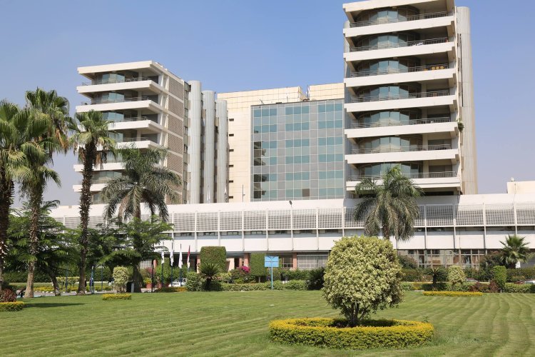 Nasser Institute for Research and Treatment - Nasser Youth Movement